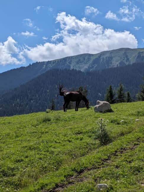 Kyrgyzstan: Pearl of the Heavenly Mountains - Key Points