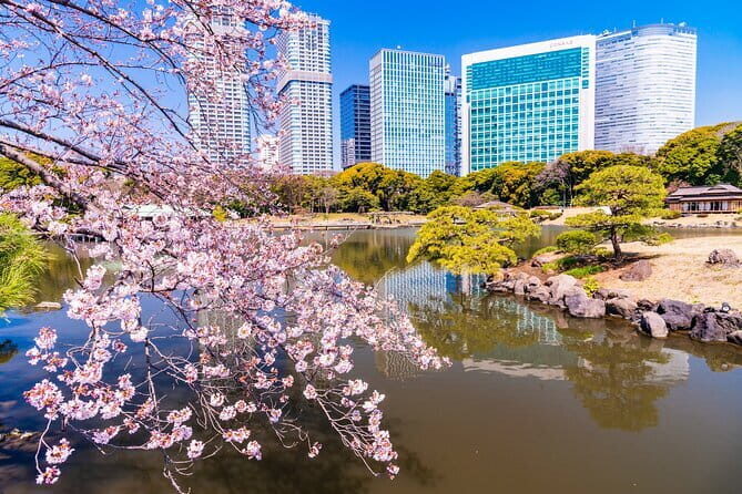 Kyu-Yasuda, Kiyosumi and Hama-Rikyu Tokyo Garden Tour - The Value of the Experience