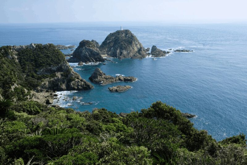 Kyushu 9-hour chartered day trip Kagoshima - Key Points
