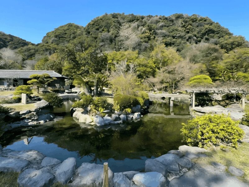 Kyushu 9-hour chartered day trip Kagoshima - The Value of This Experience