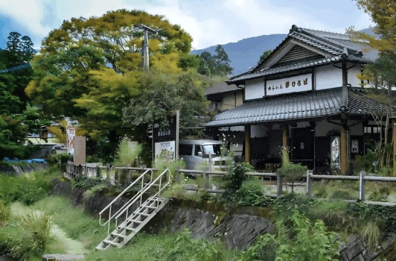 Kyushu 9-hour chartered day trip Oita - Key Points