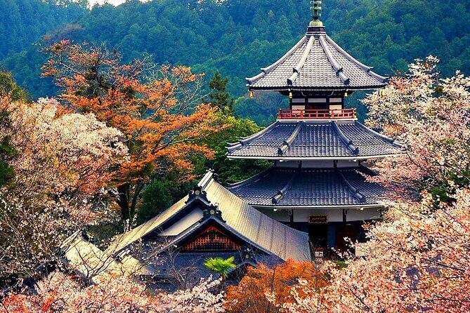 Kyushu Beppu Six Scenic Spots One Day Tour - Logistics and Practicalities