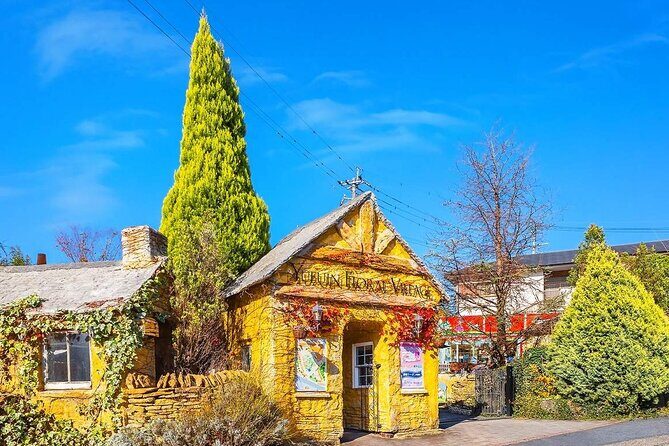 Kyushu Day Trip Dazaifu Tenmangu Shrine and Yufuin Kinrin Lake - Final Thoughts