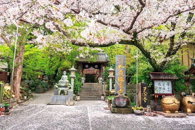 Kyushu Tour of Shrines Sakura Gorges and Landmarks from Fukuoka - FAQ