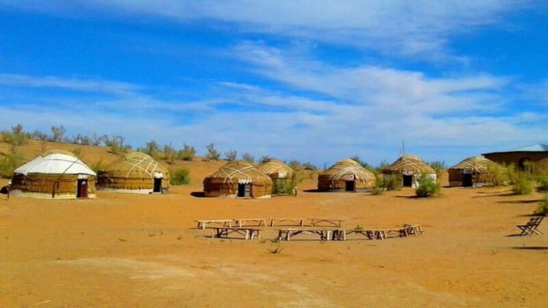 Kyzylkum Desert tour from Samarkand (1Night 2 Days) - Key Points