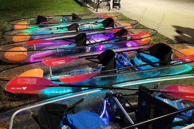 L.E.D. Light Kayak Miami City Lights - Setting the Scene: What to Expect on the Tour