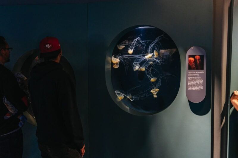 LA: Aquarium of the Pacific Skip-the-Line Entry - Authentic Visitor Feedback