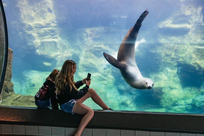 LA: Aquarium of the Pacific Skip-the-Line Entry - The Sum Up: Is It Worth Your Time and Money?