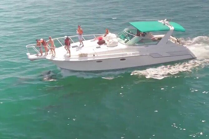 LA: Birthday Special Private Yacht (1 ticket covers 1-6 people) - Introduction to the Yacht Birthday Cruise