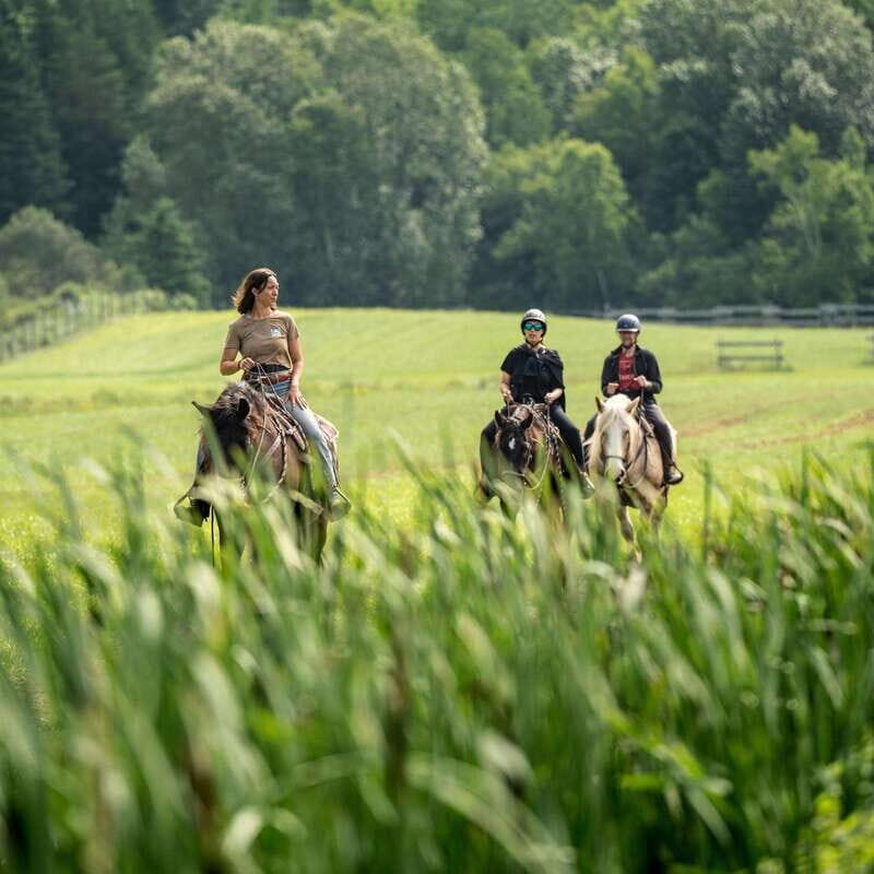 La Bleuetière: A charming introduction to horseback riding - An In-Depth Look at La Bleuetière’s Horseback Riding Experience