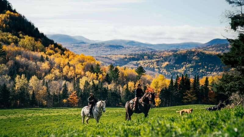 La Bleuetière: A charming introduction to horseback riding - Authentic, Relaxing, and Scenic – A Perfect Intro to Quebec’s Rural Charm