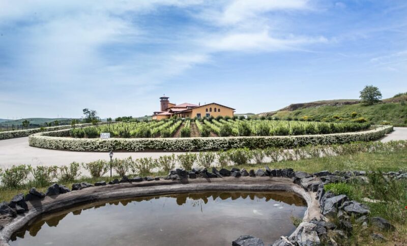 LA BOCCA DEL VULCANO - FAQ