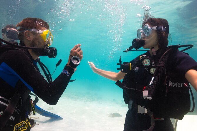 La Bombona Diving Koh Tao Open Water Course - Why the Course Offers Excellent Value