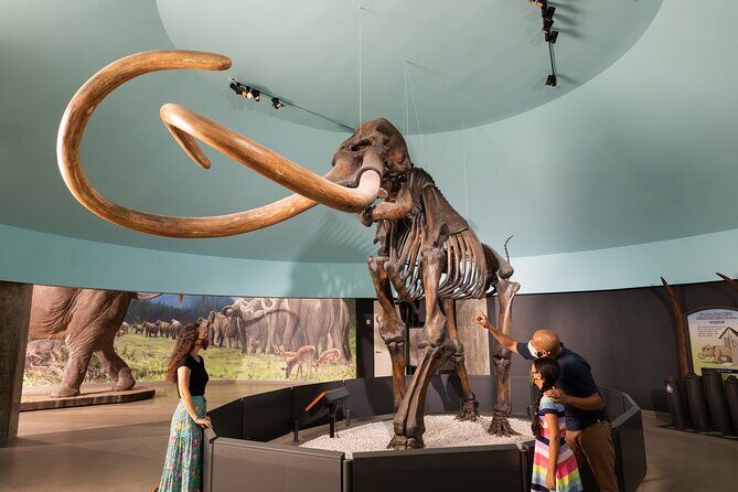 La Brea Tar Pits and Museum Admission Ticket with Excavator Tour - The Reviews and Real Experiences