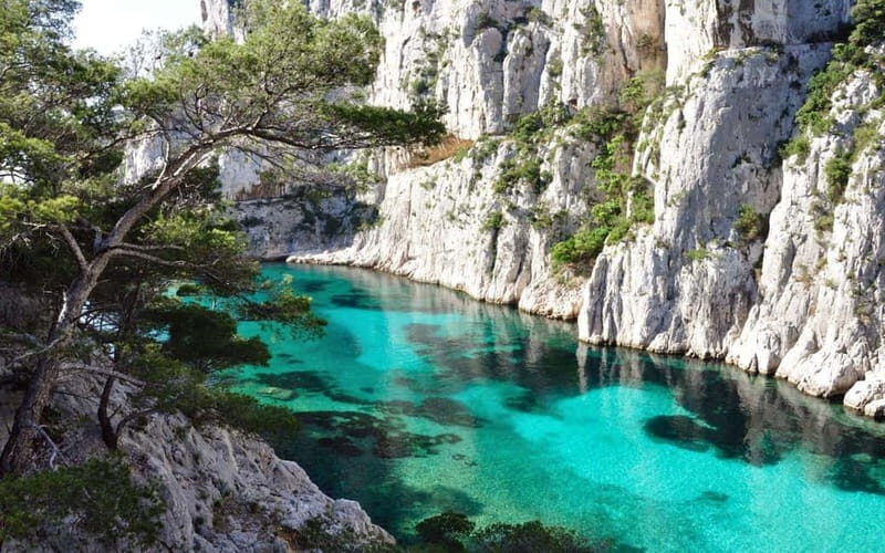 La Ciotat: Boat Tour in the Calanques with swimming - Experience on Board: Comfort, Commentary, & Conservation