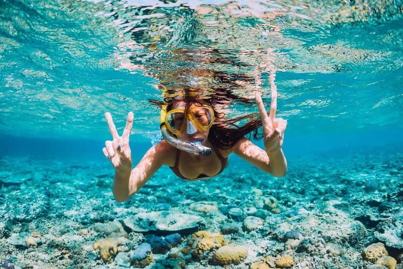La Ciotat: Boat Tour in the Calanques with swimming - Practical Tips & What to Bring