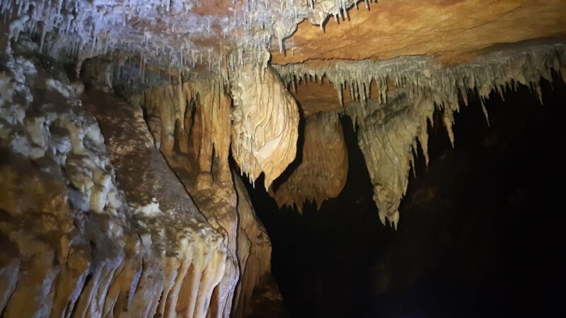 La Ciotat: Caving in Calanques National Park Half-Day Tour - What This Tour Offers: An Honest and Detailed Look
