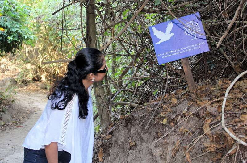 La Crucecita: Hiking and Snorkling/ Drinks and Fruits - The Sum Up