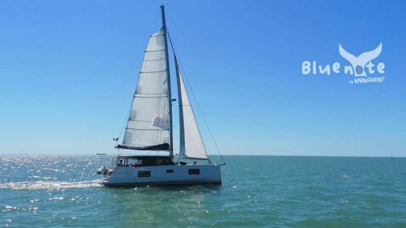La Flotte, Ile de Ré: Sailing Catamaran Cruise - The Experience in Detail