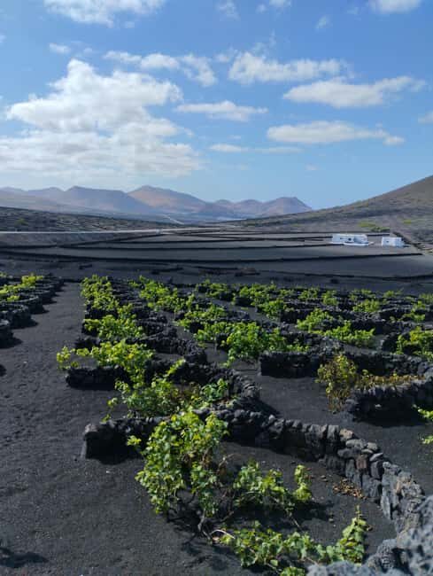 La Geria: a walk among volcanoes and vineyards - Climbing Guardilama: Sweeping Views and a Taste of Achievement