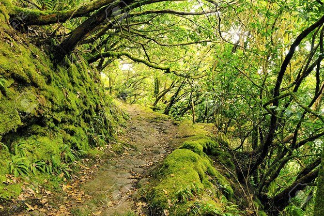 La Gomera Day Trip from Tenerife - FAQs