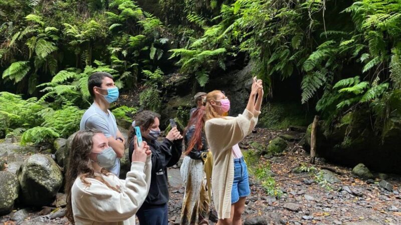 La Gomera: Garajonay National Park Entry Ticket and Tour - Exploring La Gomera’s Unique Landscape