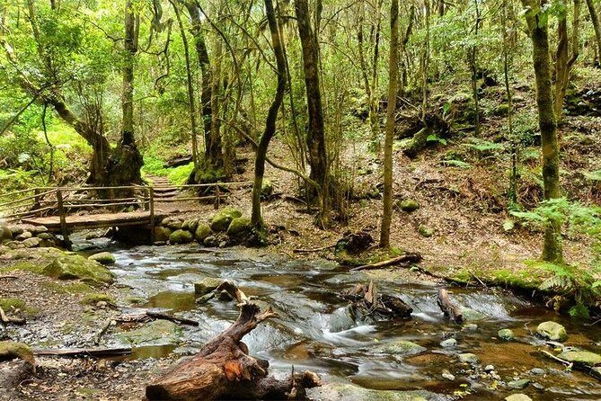 La Gomera Island Tour - FAQs About the La Gomera Island Tour