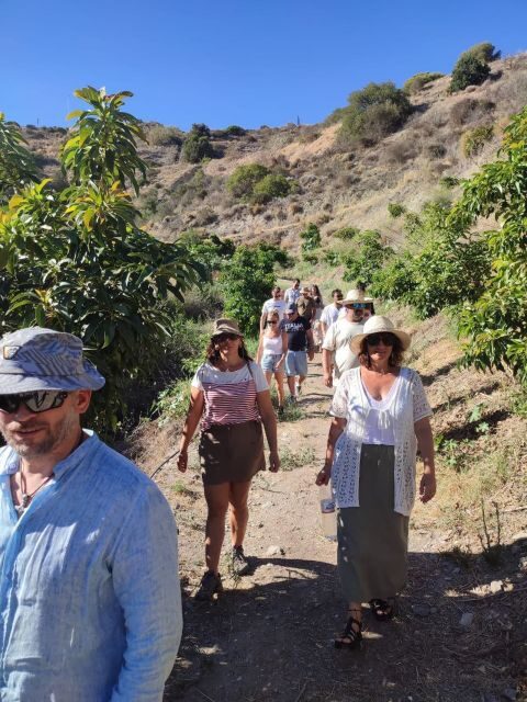La Herradura Coffee Farm: tour in Europe's only plantation - What to Expect: A Deep Dive into the Farm Experience