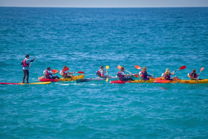 La Herradura: Kayak Tour in Cerro Gordo Natural Park - The Value of the Tour