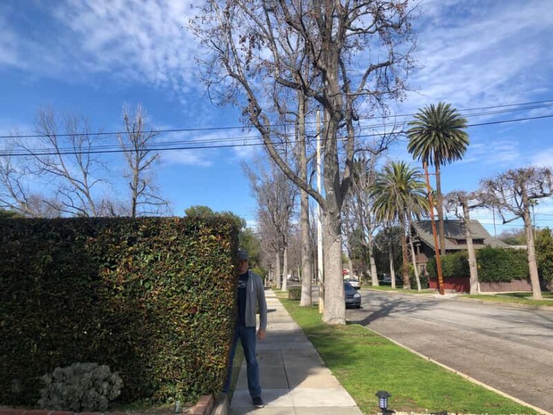 LA: Horror Film Locations Tour - FAQ