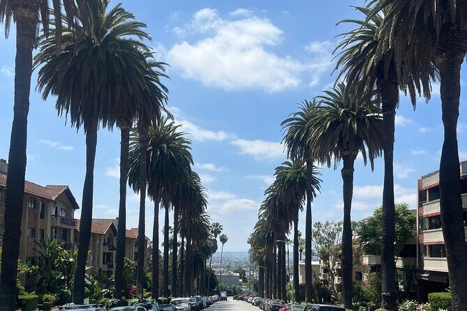 LA in a Day | Private Full Day Sightseeing Tour of Los Angeles - Final Thoughts