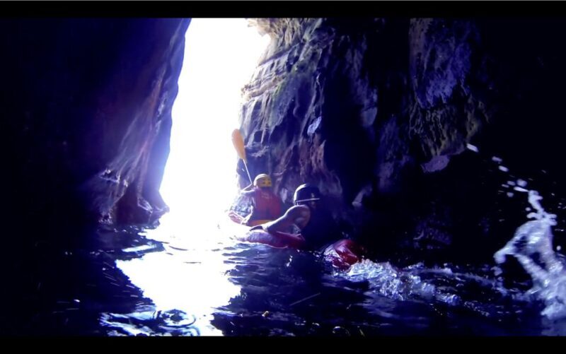 La Jolla: 2.5-Hour Kayak and Snorkel Tour - Practical Tips for the Trip