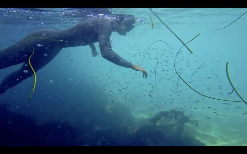 La Jolla: 2.5-Hour Kayak and Snorkel Tour - FAQ