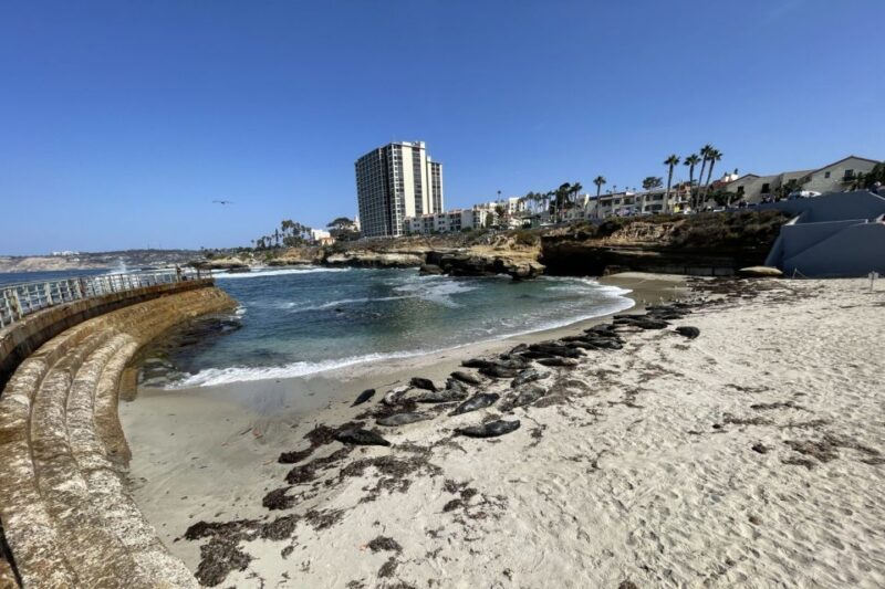 La Jolla: 2-Hour Guided Segway Tour - FAQ