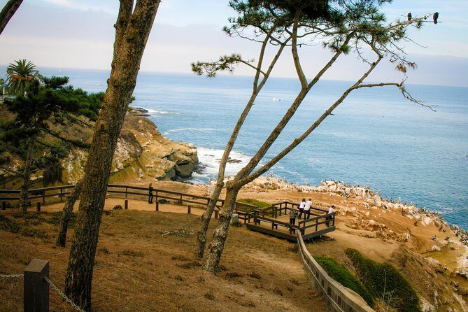 La Jolla Electric Bike Tour - Final Thoughts: Is It Worth It?