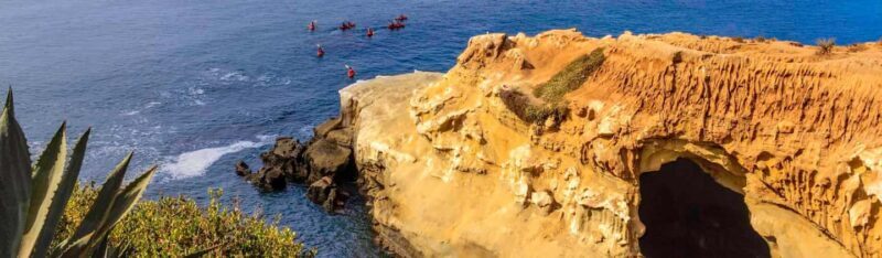 La Jolla: Full-Day Snorkel Gear Rental with Wetsuit Option - What You Can Expect from the Snorkel Rental