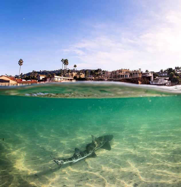 La Jolla: Full-Day Snorkel Gear Rental with Wetsuit Option - Practical Details and Tips