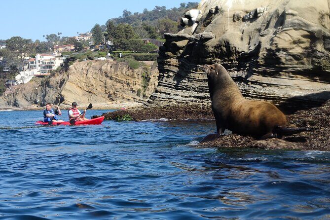 La Jolla Kayak Rental - Practical Tips for Your Kayaking Day