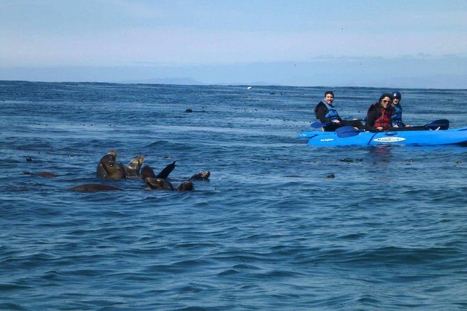 La Jolla Sea Caves Kayak Tour For Two (Tandem Kayak) - Starting Point and Logistics