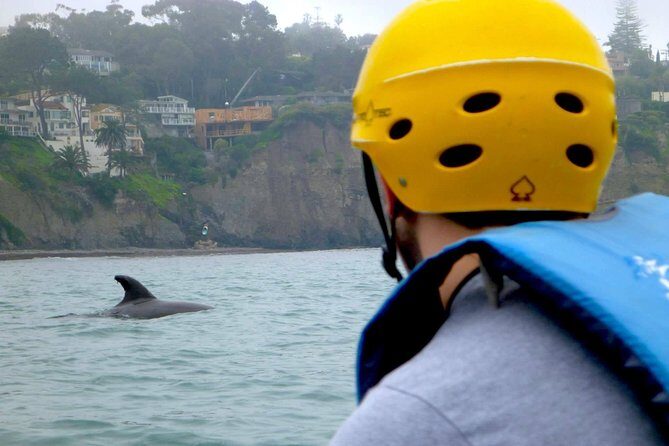 La Jolla Sea Caves Kayak Tour For Two (Tandem Kayak) - Wildlife and Scenery