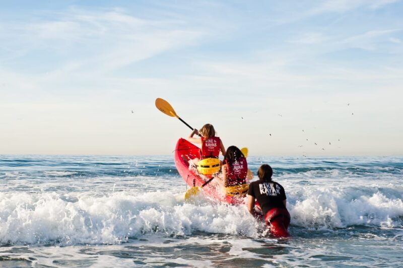 La Jolla: Sunset Kayak Tour of the 7 Caves - The Sum Up
