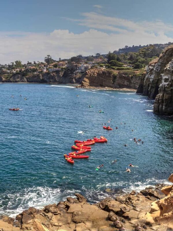 La Jolla - The Jewel of San Diego - Guided Walking Tour - Discovering La Jolla: A Closer Look at the Tour
