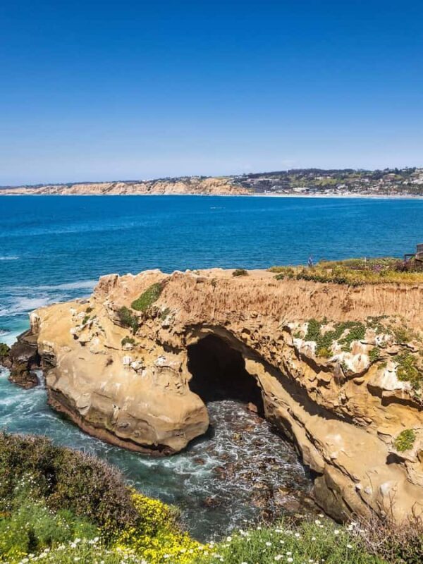 La Jolla - The Jewel of San Diego - Guided Walking Tour - Who Will Love This Tour?