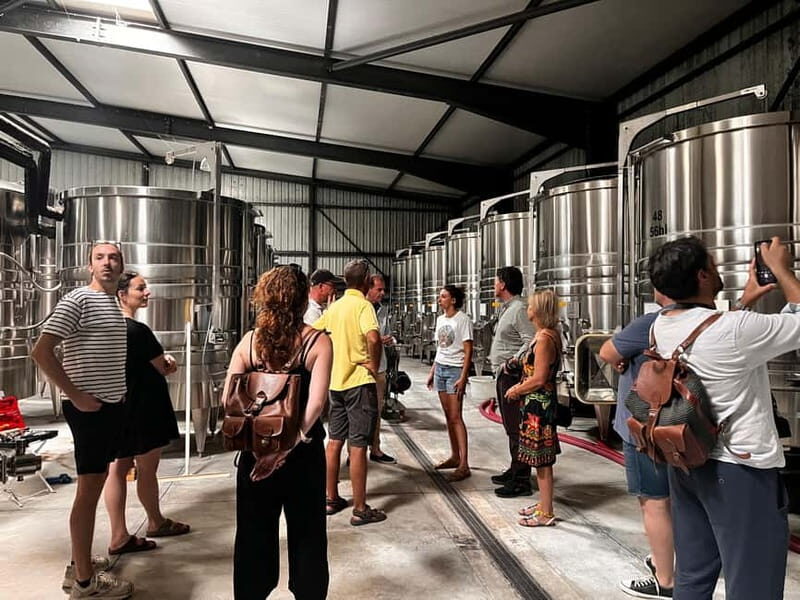 La Londe-les-Maures: Half-Day Wineries Tour with Tastings - Is This Tour Worth It?