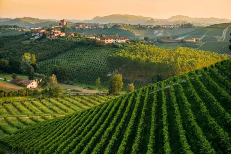 La Madama: A Journey through Piedmont's Tradition and Wines - Key Points
