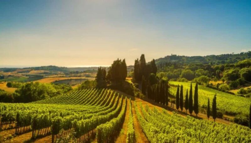 La Madama: A Journey through Piedmont's Tradition and Wines - Understanding the Experience