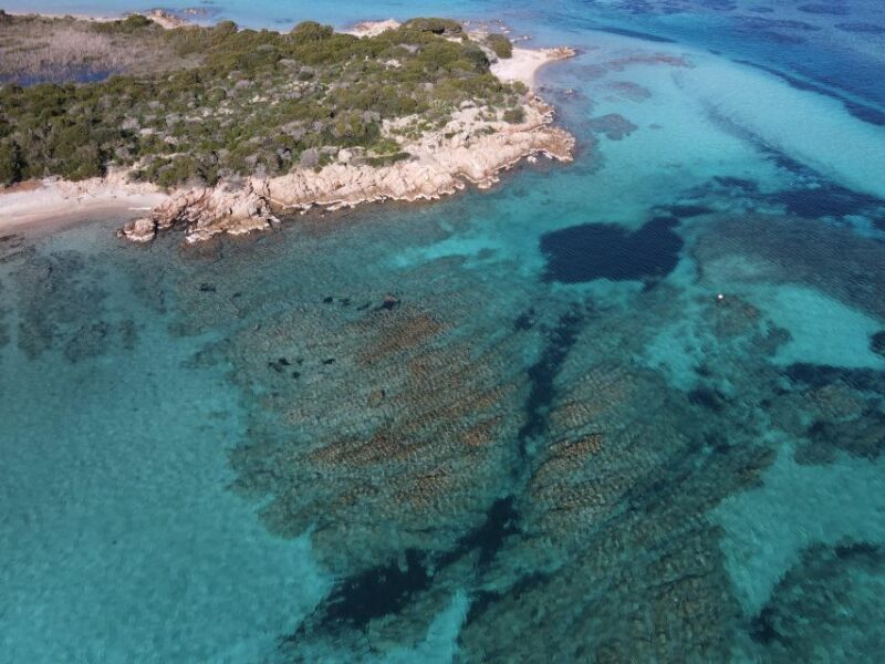 La Maddalena: Archipelago Boat Tour - A Detailed Look at the Experience