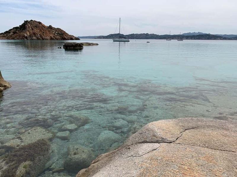 La Maddalena Archipelago: daily sailing tour with lunch - Key Points