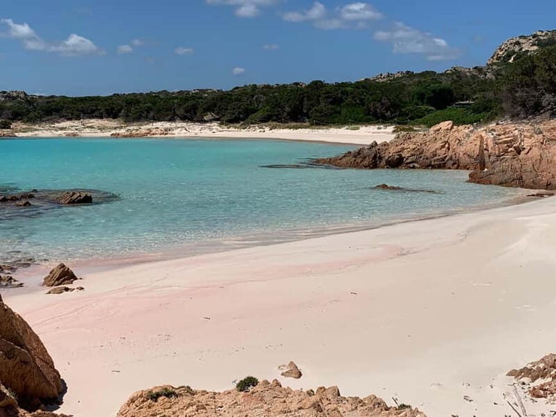 La Maddalena Archipelago: daily sailing tour with lunch - What Travelers Say