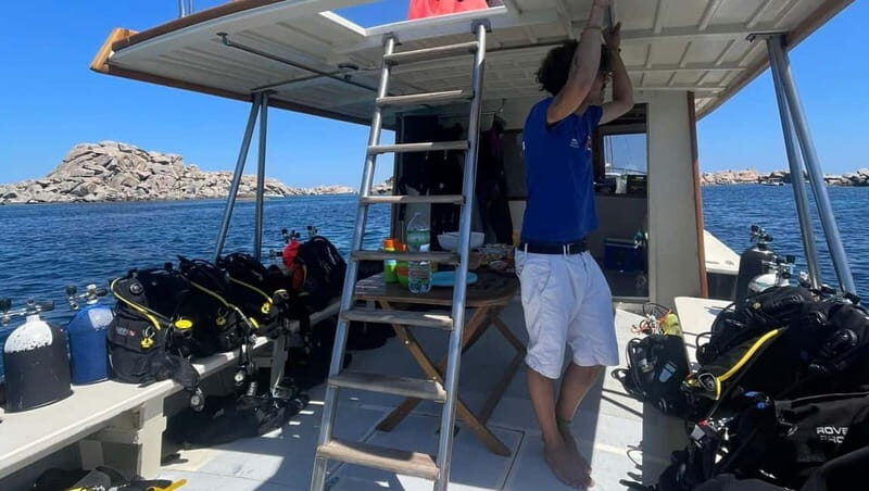 La Maddalena Archipelago & Lavezzi: Adventure Dives trip - An In-Depth Look at the Itinerary and What You Can Expect